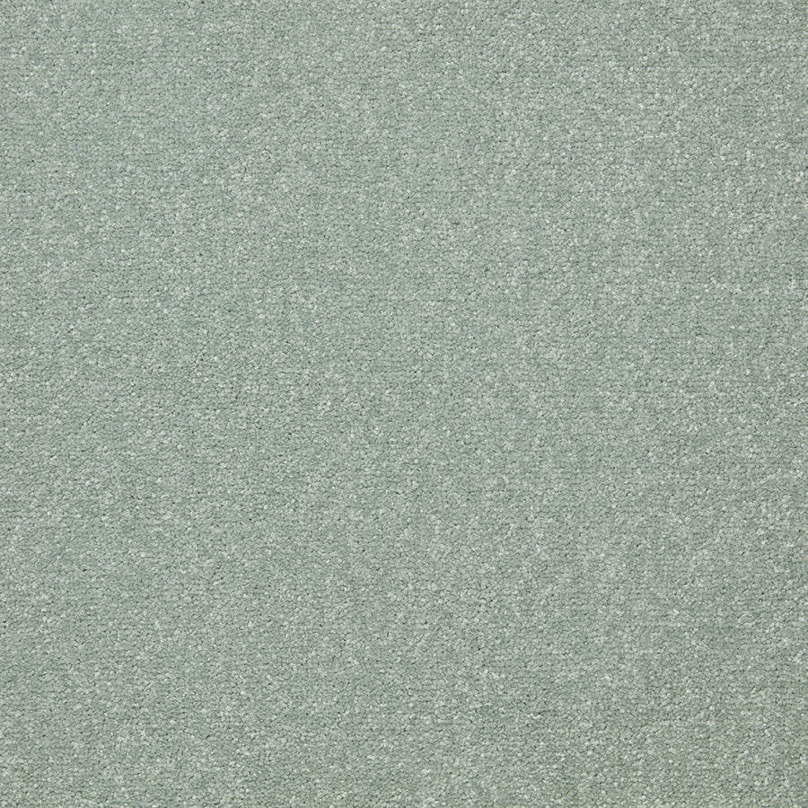 Primo Plus – AbsoluteFlooring.co.uk