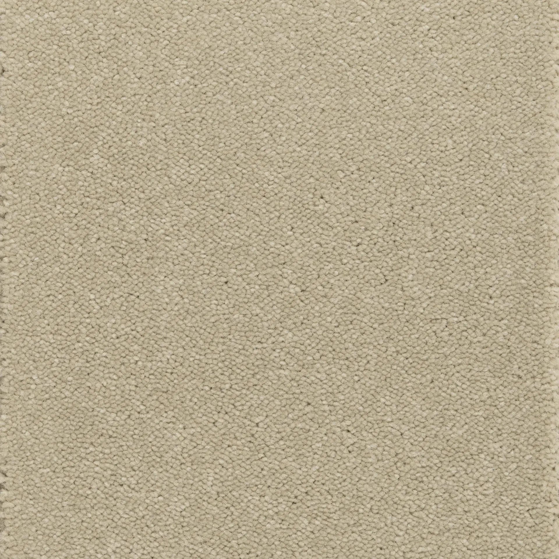 Puerto Rico Regular – AbsoluteFlooring.co.uk