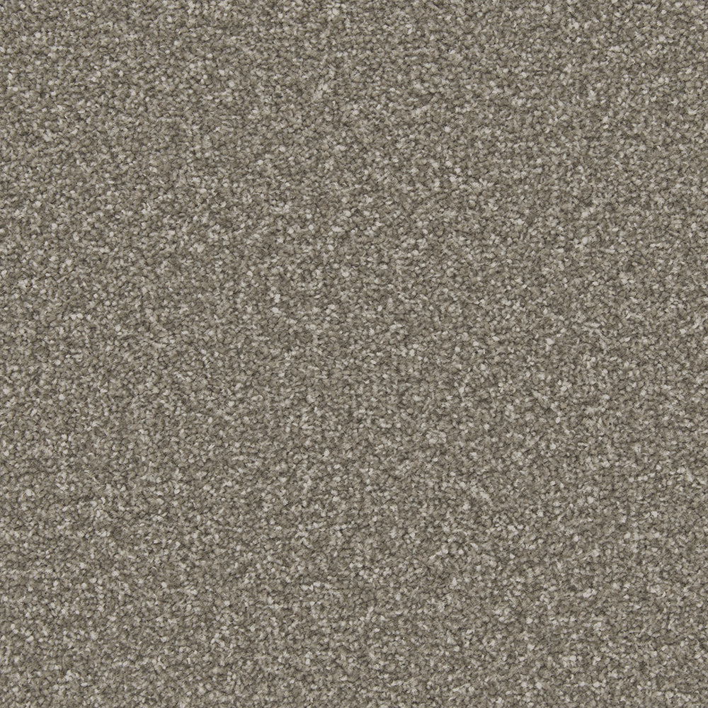 Apollo Plus – AbsoluteFlooring.co.uk